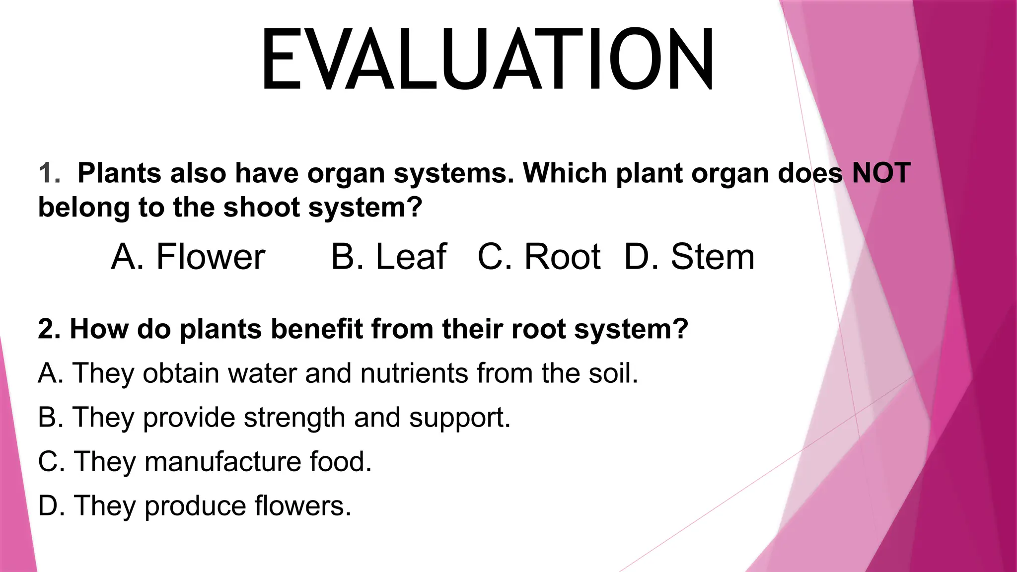 organ system of plants SCIENCE 7 .pptx