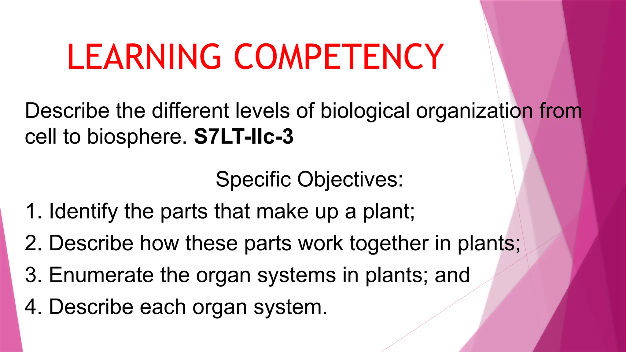 organ system of plants SCIENCE 7 .pptx