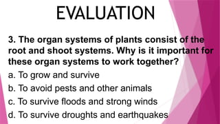 organ system of plants SCIENCE 7 .pptx