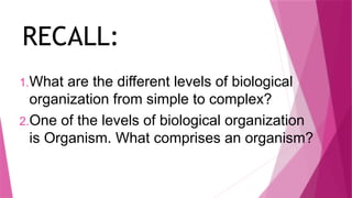 organ system of plants SCIENCE 7 .pptx
