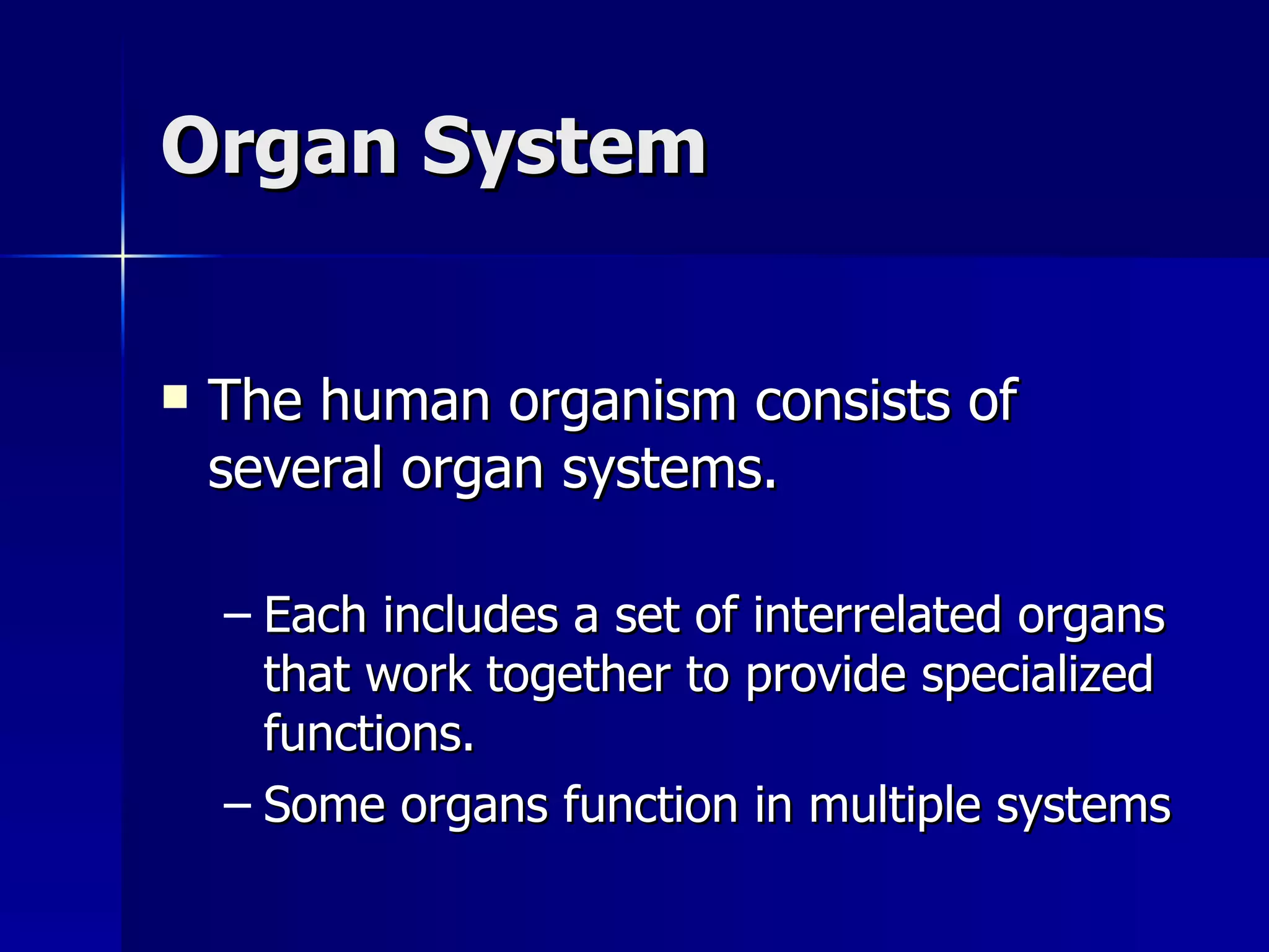 Organ system overview | PPT