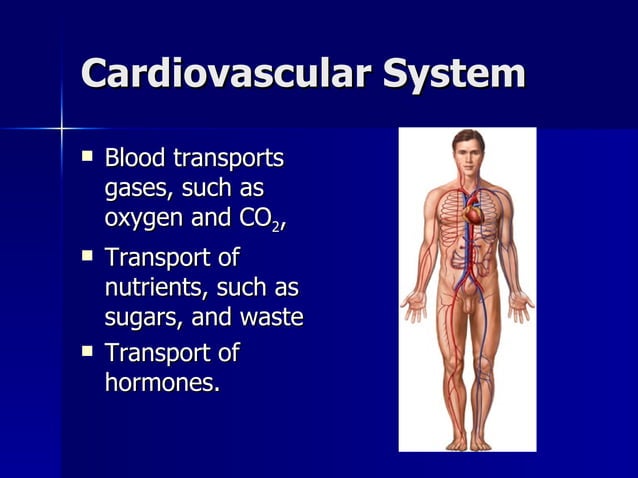 Organ system overview | PPT