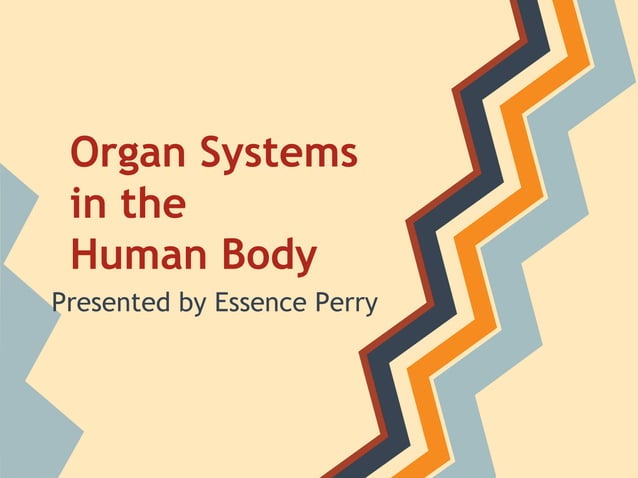 Organ systems in the Human Body | PPT