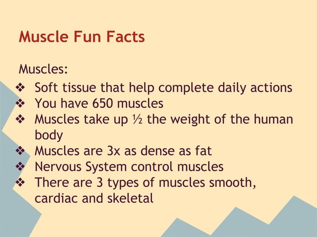 Organ systems in the Human Body | PPT
