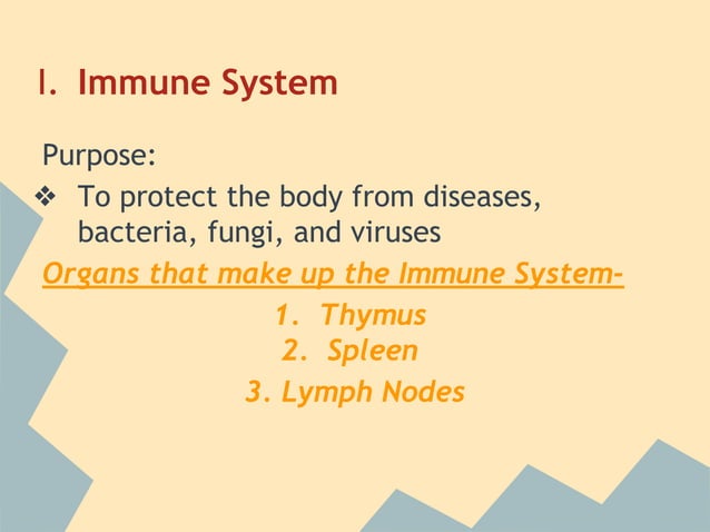 Organ systems in the Human Body | PPT