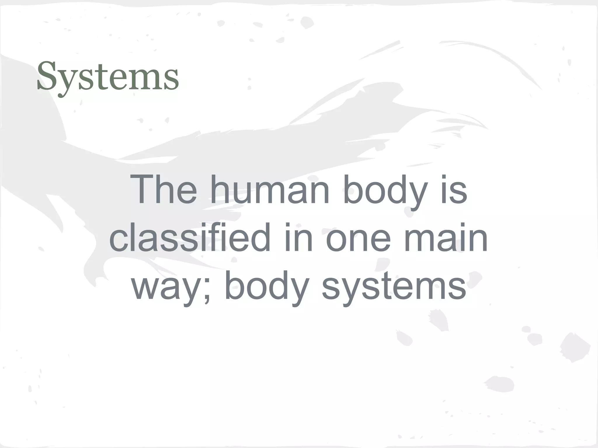 Organ systems in the Human Body | PDF