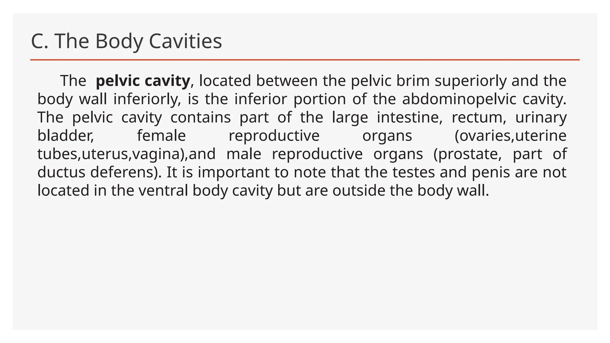 Organ Systems and Cavities. powerpoint presentation | PPTX