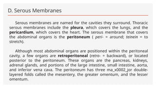 Organ Systems and Cavities. powerpoint presentation | PPTX