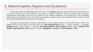 Organ Systems and Cavities. powerpoint presentation | PPT