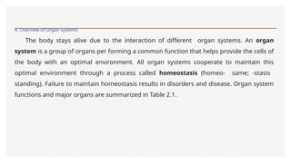 Organ Systems and Cavities. powerpoint presentation | PPT