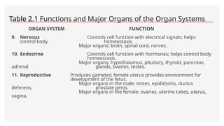 Organ Systems and Cavities. powerpoint presentation | PPT