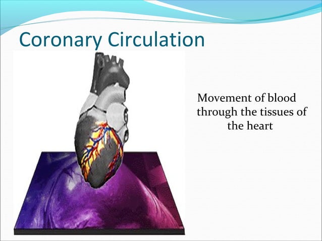 Organ systems of human body | PPT