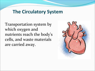 Organ systems of human body | PPT