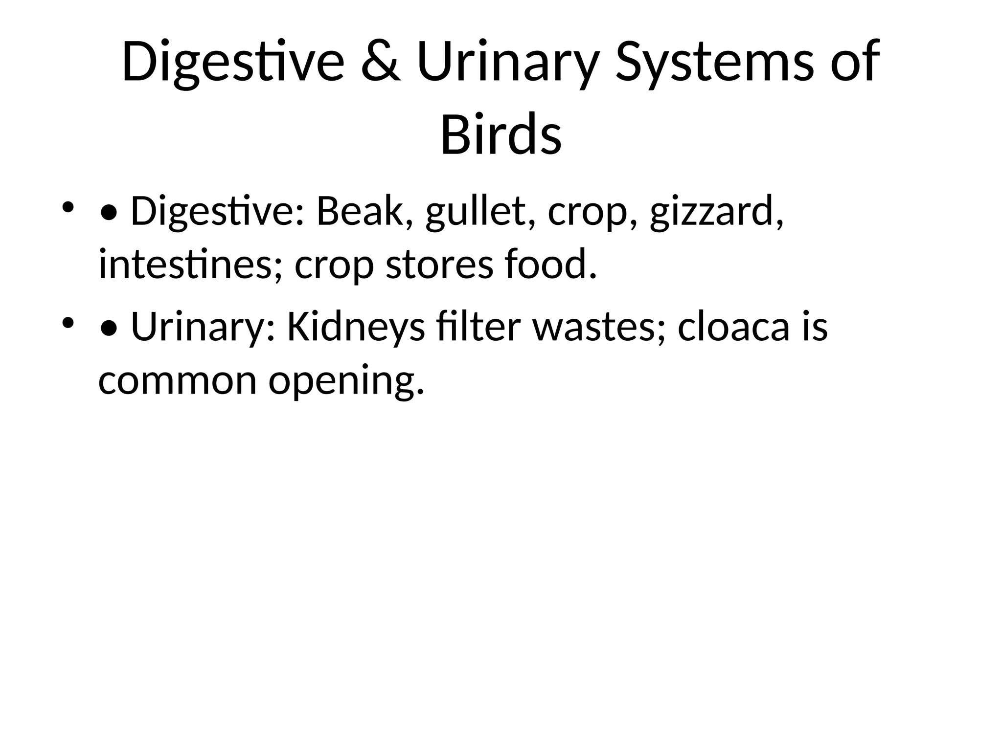 Organ_Systems_Frogs_Birds.pptx