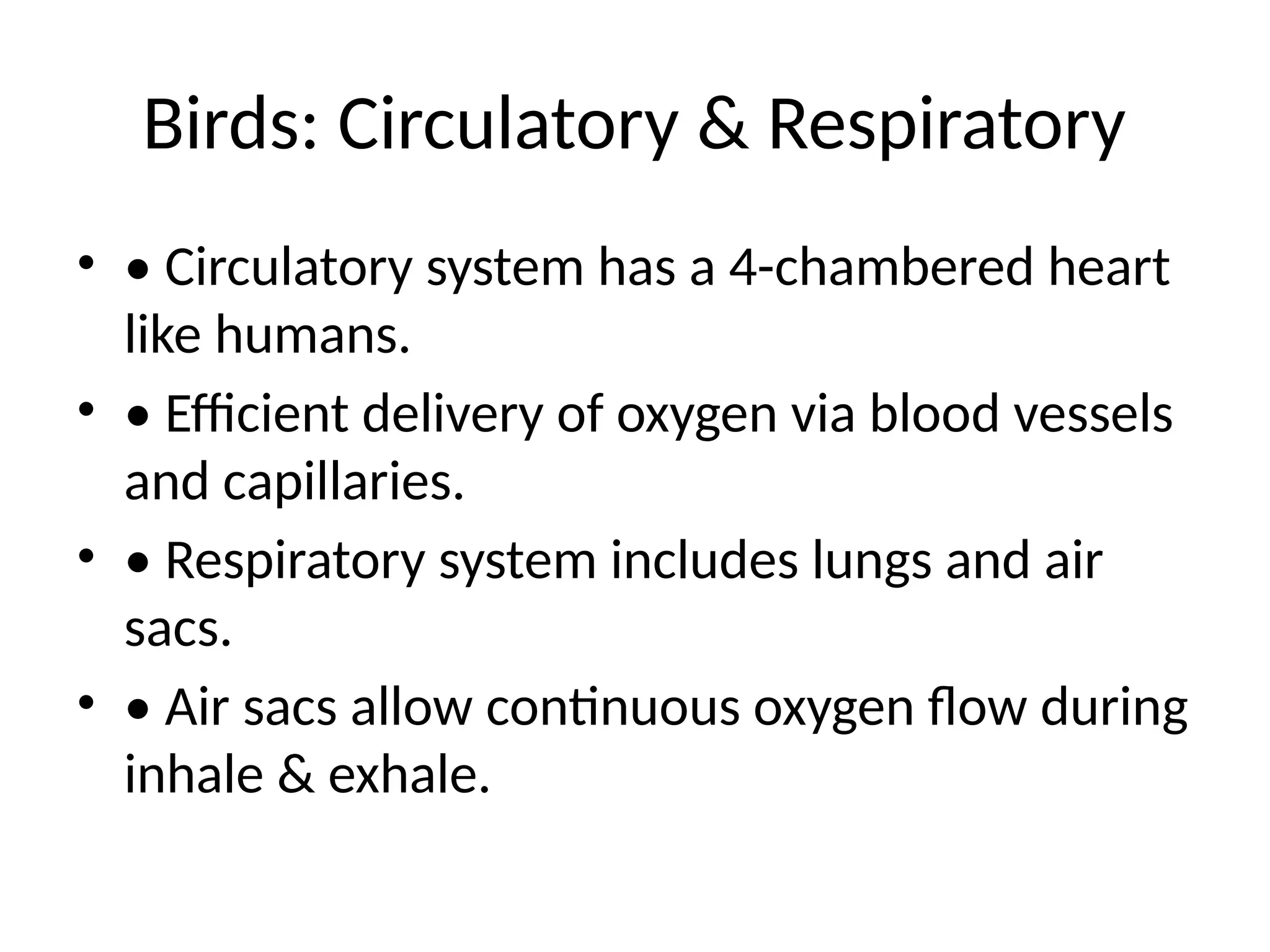 Organ_Systems_Frogs_Birds_Detailed..pptx