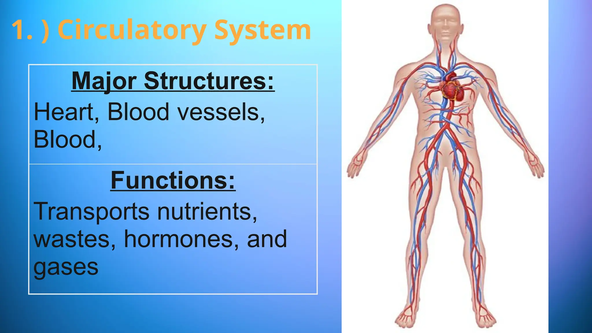 Organ systems in Representative Animals .pptx