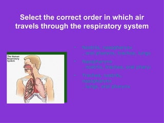 Organ Systems in the Body | PPT