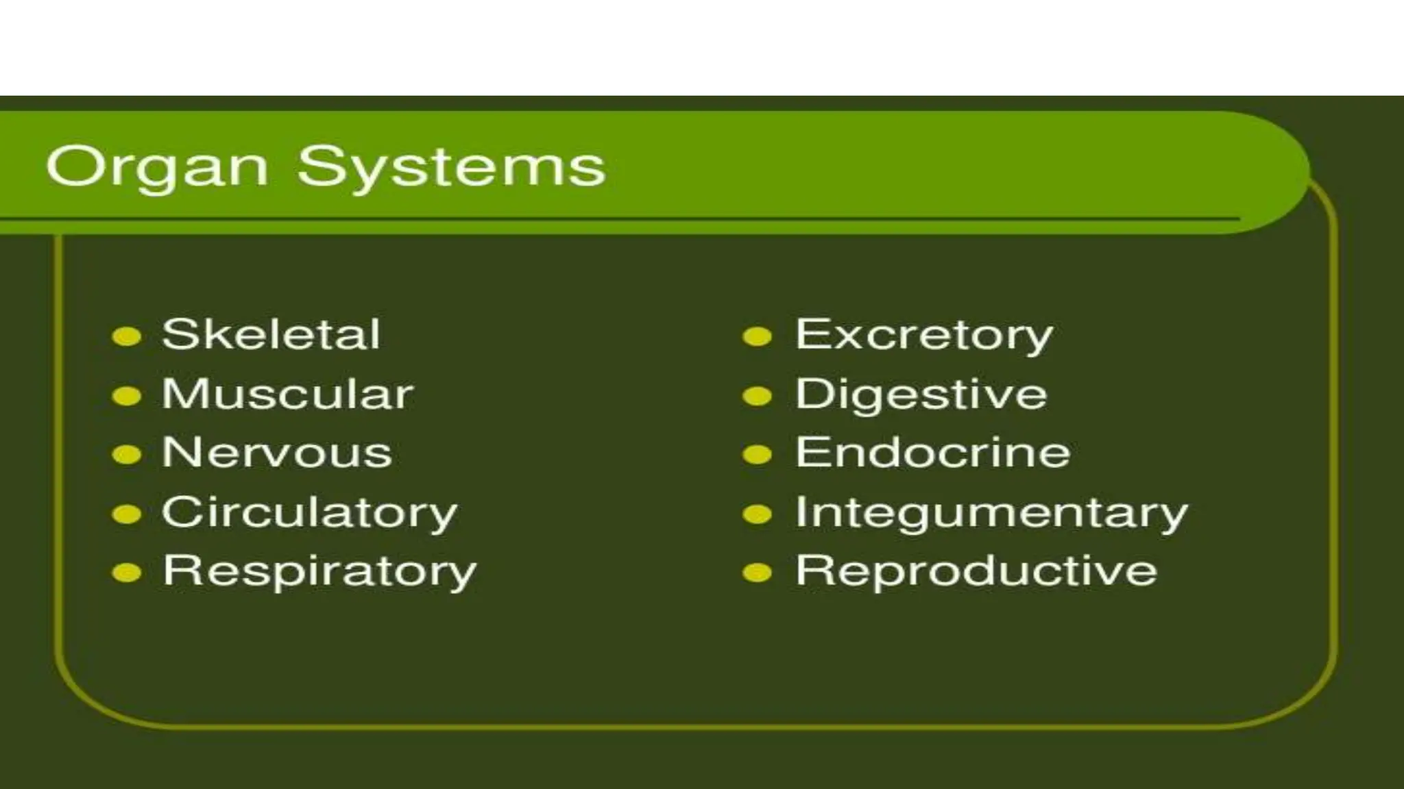 LIFE SCIENCEORGAN SYSTEMS OF ANIMALS.pptx
