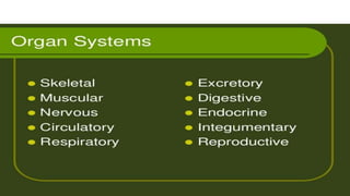 LIFE SCIENCEORGAN SYSTEMS OF ANIMALS.pptx