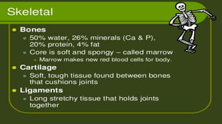 LIFE SCIENCEORGAN SYSTEMS OF ANIMALS.pptx