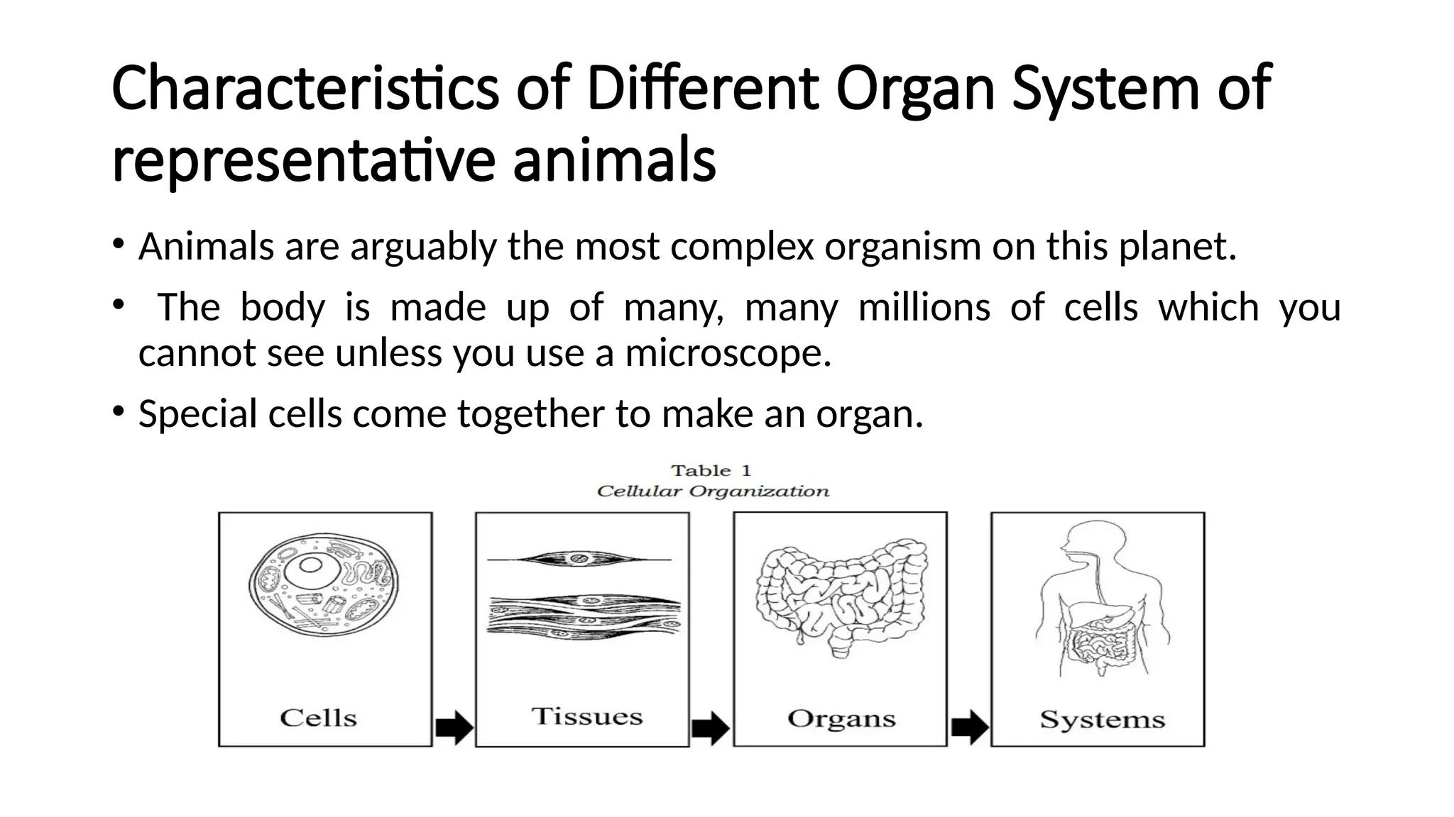 Organ Systems of Representative Animals.pptx