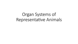 Organ Systems of Representative Animals.pptx