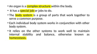 Organ Systems of Representative Animals.pptx