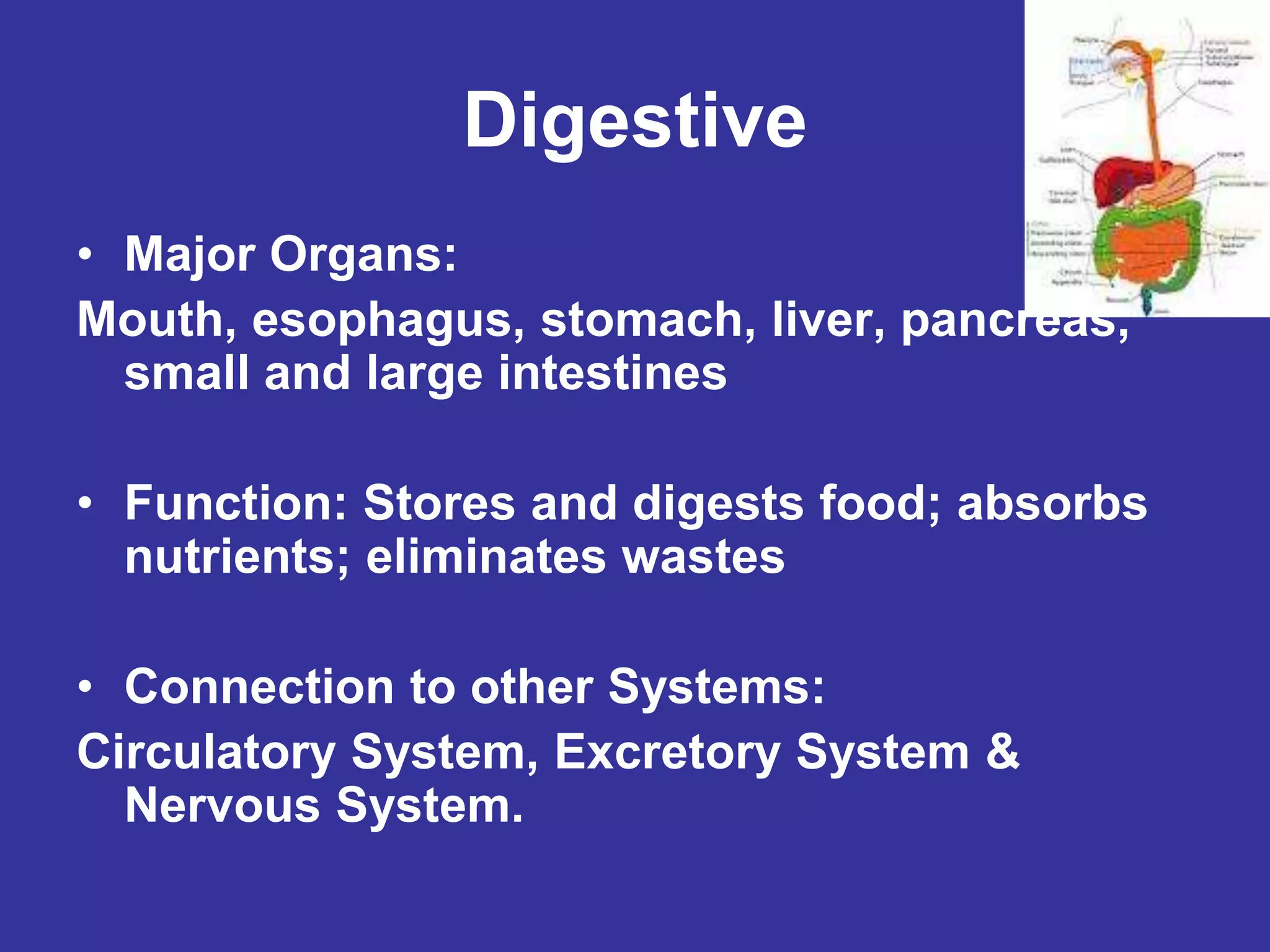 Organ systems of the body and their functions | PPT