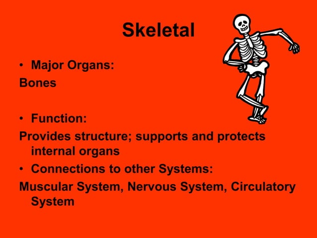Organ systems of the body and their functions | PPT | Endocrine and ...