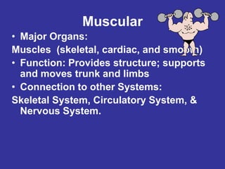 Organ systems of the body and their functions | PPT
