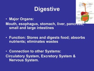 Organ systems of the body and their functions | PPT