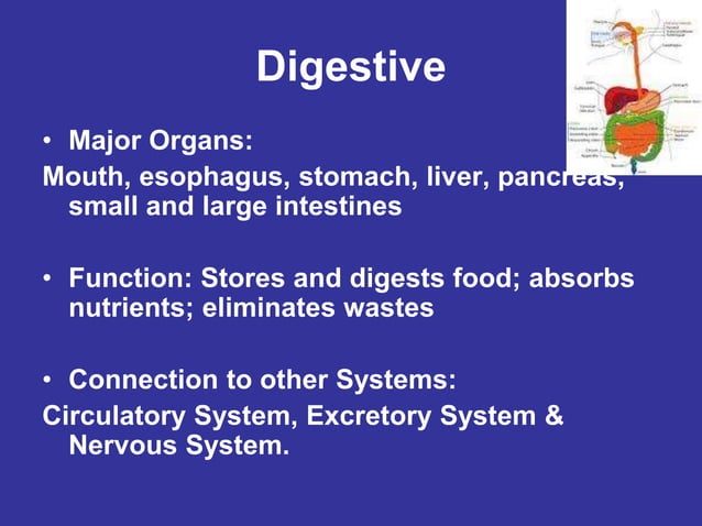 Organ systems of the body and their functions | PPT | Endocrine and ...