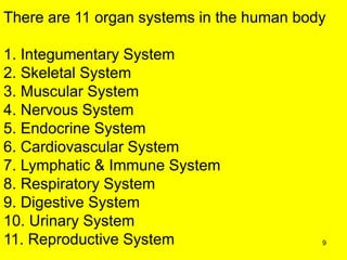 Organ systems of the body and their functions | PPT