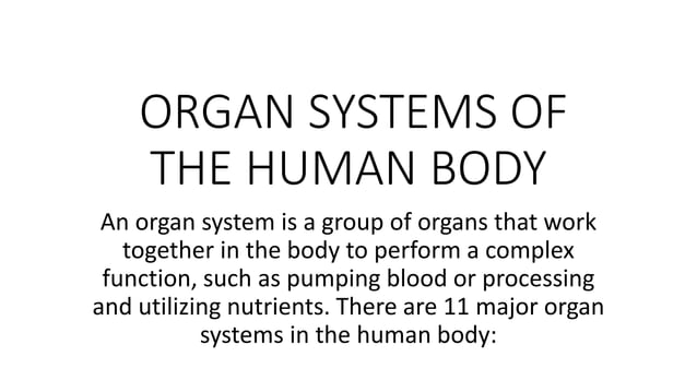 the different ORGAN SYSTEMS OF THE HUMAN BODY.pptx | Endocrine and ...