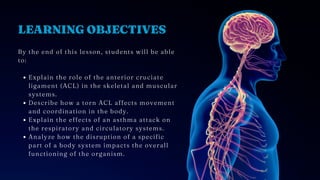 Organ Systems Working Together: describe how a damaged part in a system ...