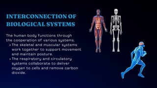 Organ Systems Working Together: describe how a damaged part in a system ...