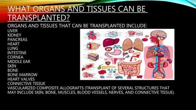 Organ transplantation | PPT