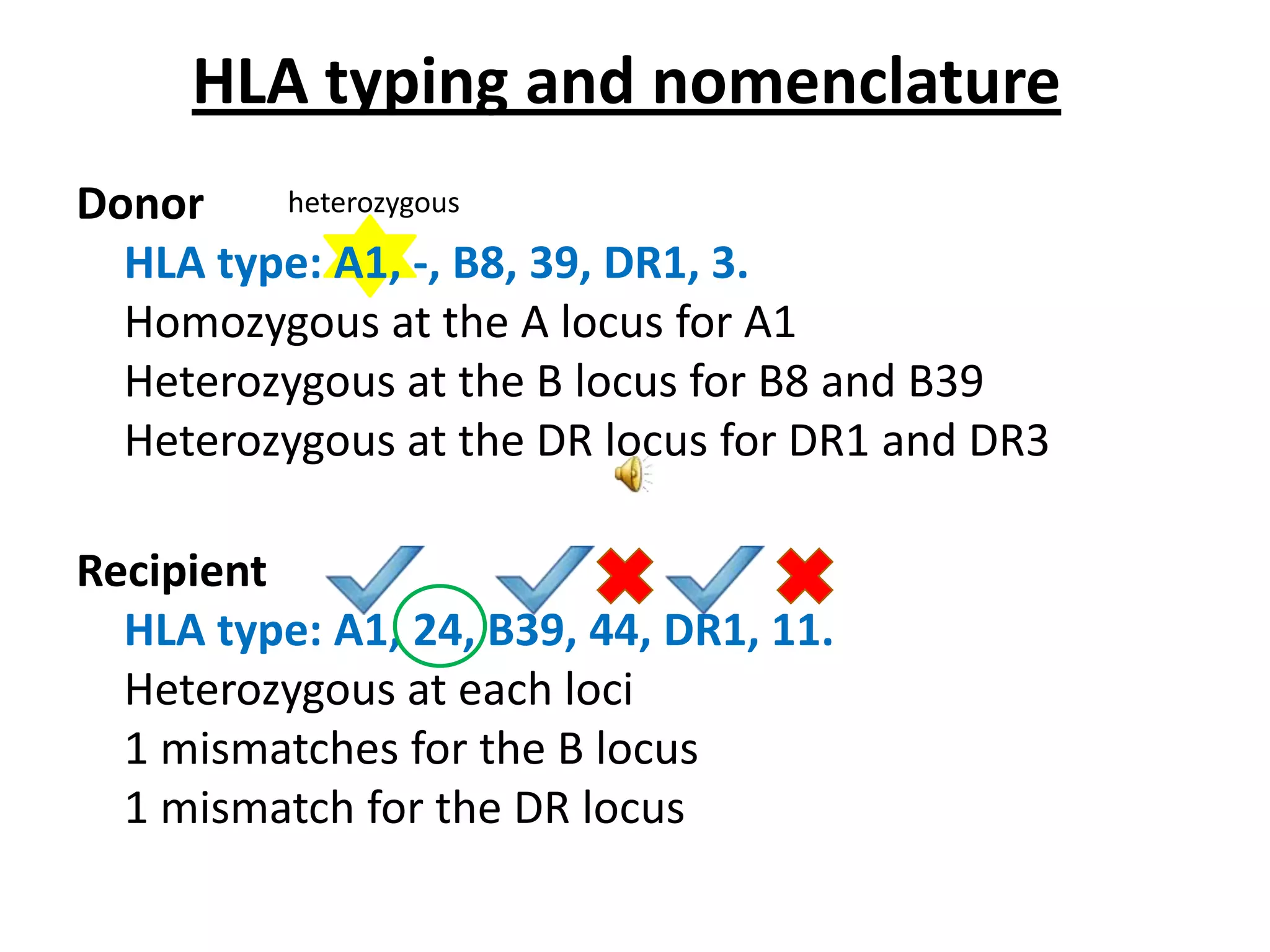 Organ transplantation and the hla system lecture | PPTX