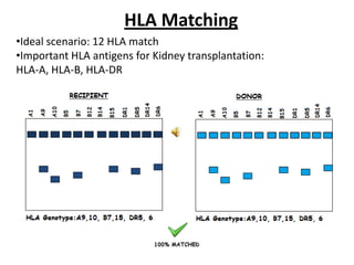 Organ transplantation and the hla system lecture | PPTX