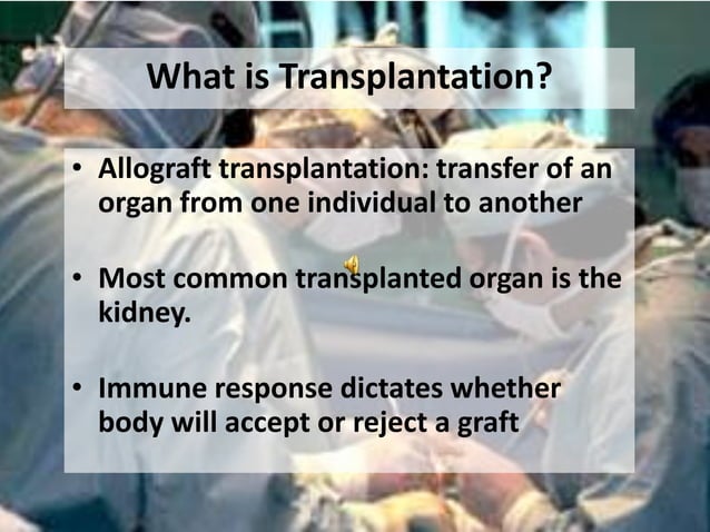 Organ transplantation and the hla system lecture | PPTX | Genetics ...