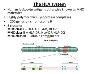 Organ transplantation and the hla system lecture | PPTX