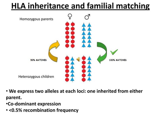 Organ transplantation and the hla system lecture | PPTX | Genetics | Science