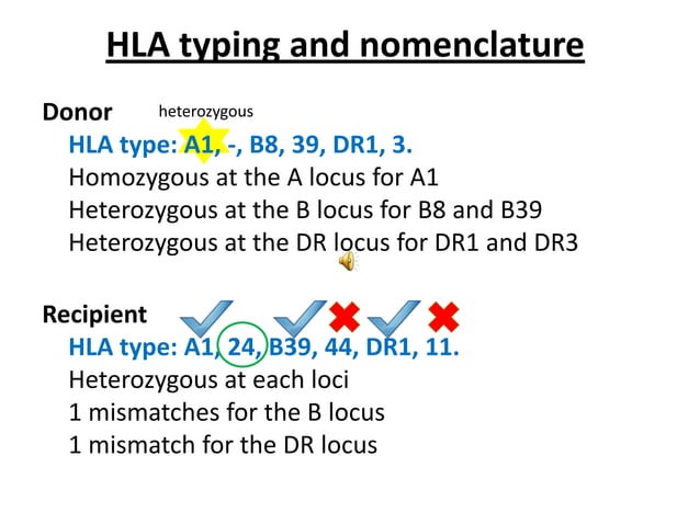 Organ transplantation and the hla system lecture | PPT