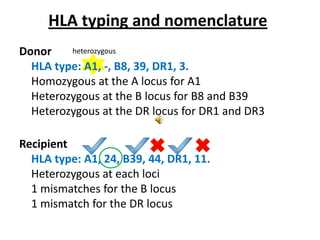 Organ transplantation and the hla system lecture | PPT