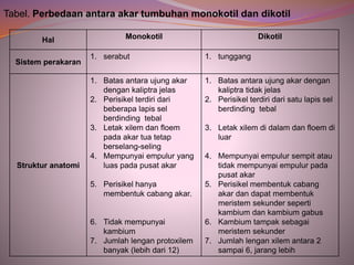 Organ Tumbuhan | PPTX