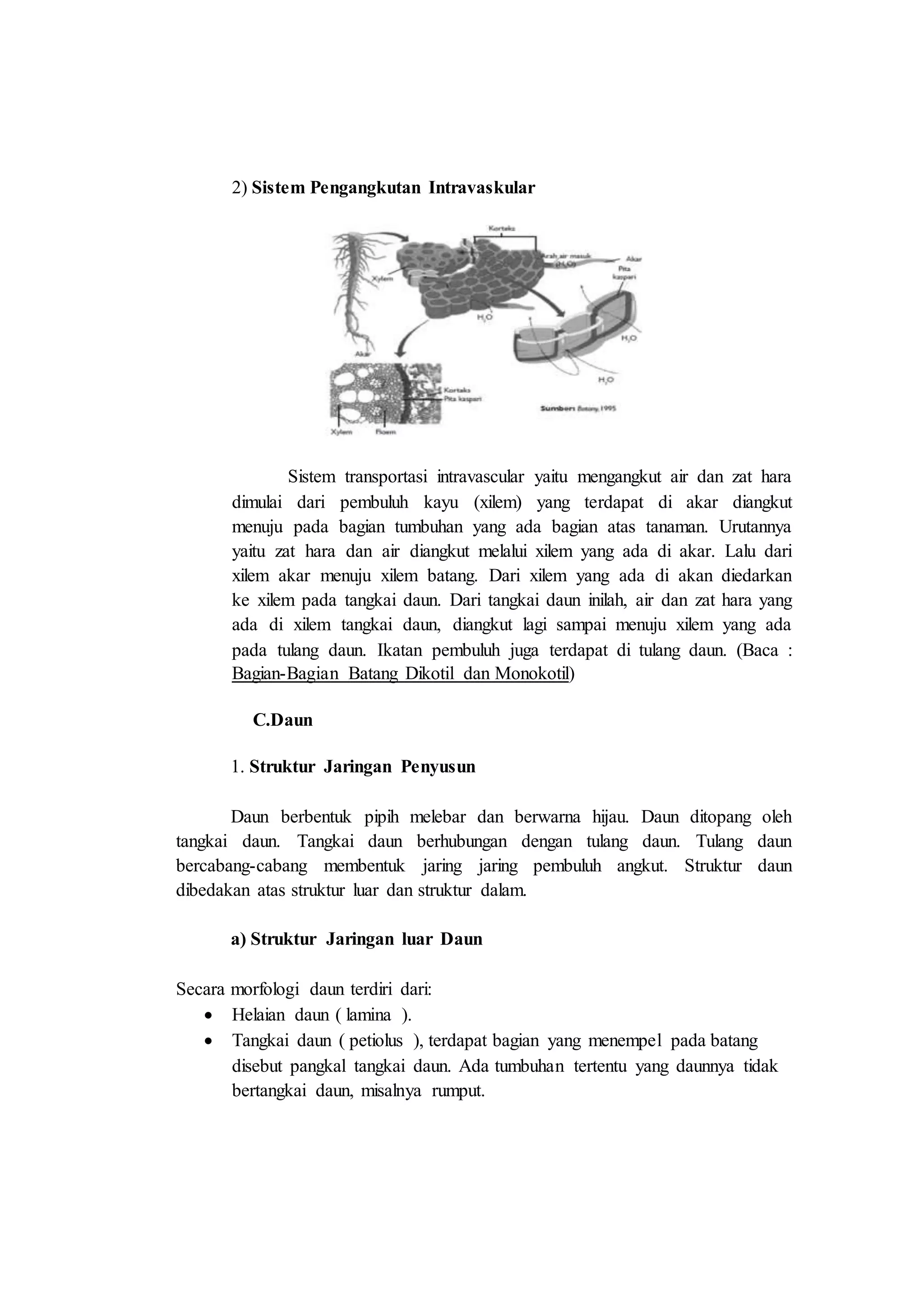 Tugas 4 TIK topik 6( Rhea Amanda) ORGAN TUMBUHAN DAN FUNGSINYA | PDF