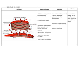 Organuls característiques esquema y quadre | PPT