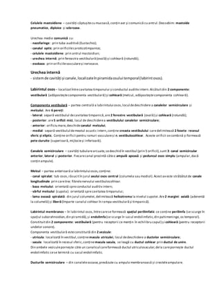 Anatomie: organul vestibulocohlear | DOCX