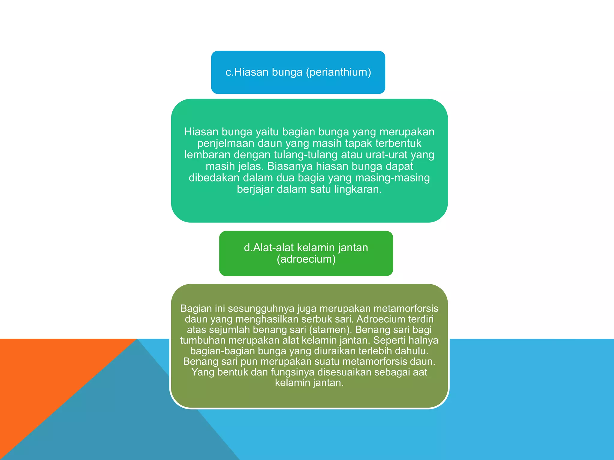 ORGAN VEGETATIF DAN GENERATIF TUMBUHAN.pptx