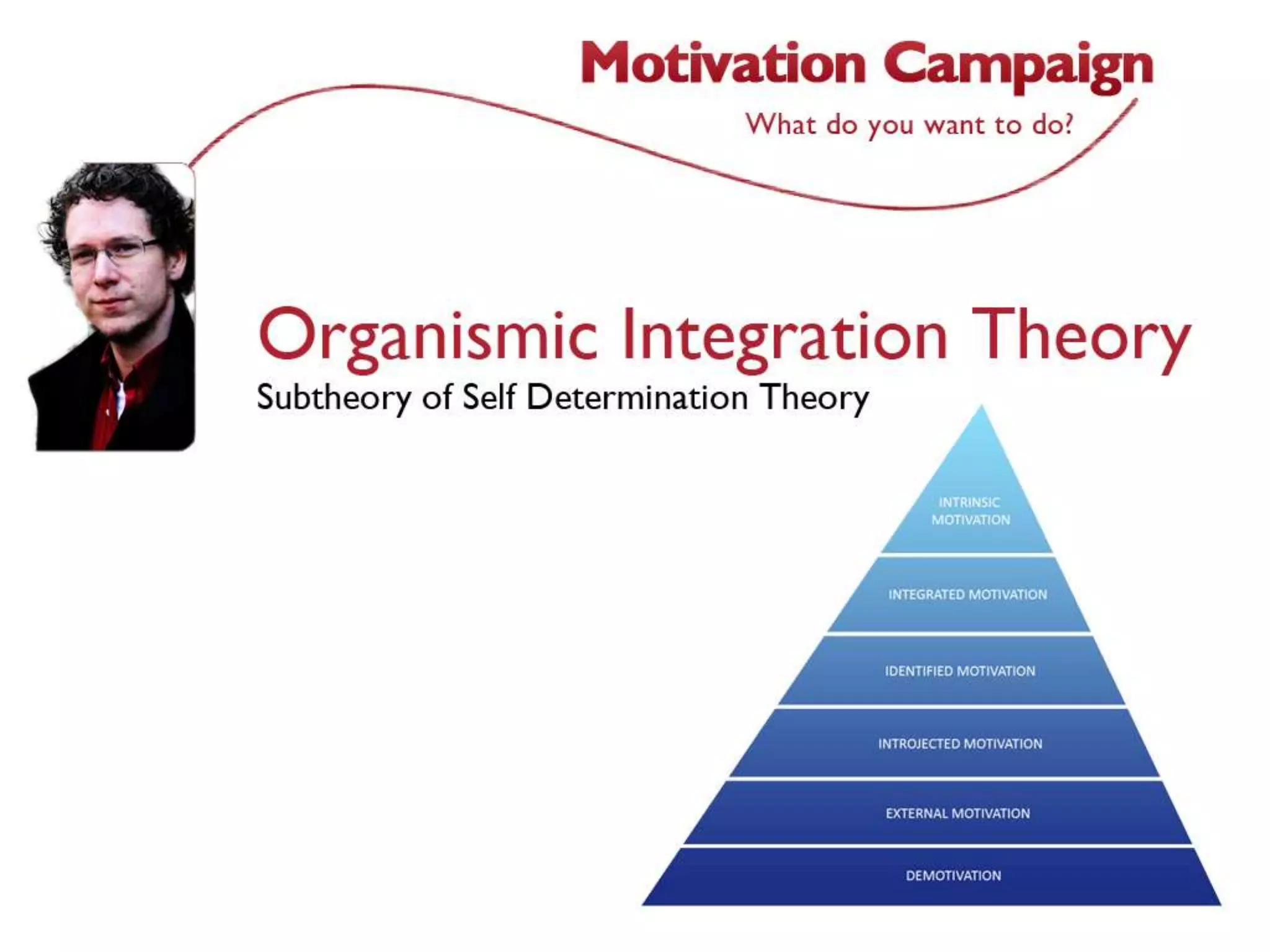 Organismic integrationtheory | PPT